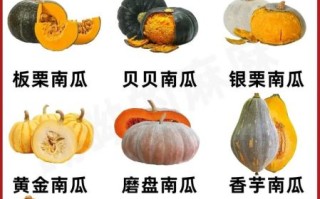 南瓜图片大全_如何挑选好南瓜