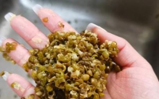 绿豆泥怎么做_绿豆泥做法窍门
