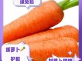 胡萝卜的功效与作用_胡萝卜怎么吃最营养