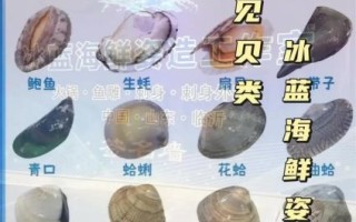 贝壳类海鲜名称对照表_常见贝类怎么区分