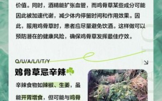 鸡骨草哪些人不能吃_鸡骨草禁忌人群有哪些