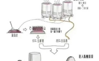 葡萄家庭如何酿酒_自酿葡萄酒步骤