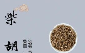 柴胡的功效与作用_柴胡疏肝解郁怎么吃