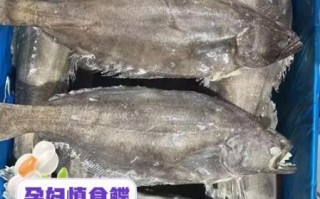 鲽鱼的营养价值_孕妇能吃鲽鱼吗