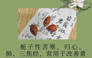 栀子的功效与作用_栀子泡水喝有什么好处