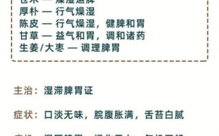 除湿汤药方_湿气重怎么调理