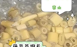 芦根藕节的功效与作用_芦根藕节能治什么病