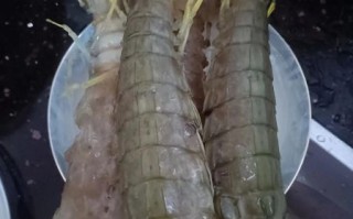 虾姑孕妇可以吃吗_孕期吃虾姑的注意事项