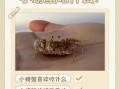 野生小螃蟹吃什么食物_怎么喂养才健康