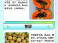 孕妇不能吃的水果有哪些_孕妇不能吃的食物有哪些