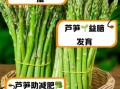 芦笋的功效与作用及禁忌症_什么人不能吃