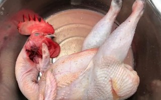 叫化鸡图片_正宗做法步骤图解