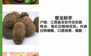 芋头品种有哪些_芋头品种图片说明