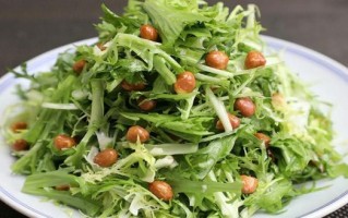 苦菊怎么吃最好吃_苦菊凉拌还是清炒
