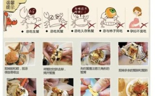 螃蟹怎么吃图解_如何正确吃螃蟹步骤