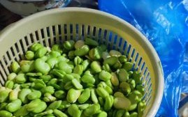 绿色食品标准有哪些_如何辨别绿色食品真假