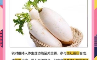 萝卜的功效与作用有哪些_萝卜的营养价值高吗 萝卜的功效与作用有哪些_萝卜的营养价值高吗