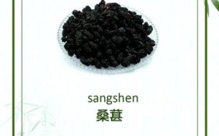 桑葚哪些人不能吃_桑葚禁忌人群有哪些