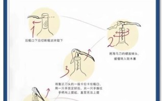葡萄酒怎么开_没有开瓶器怎么办