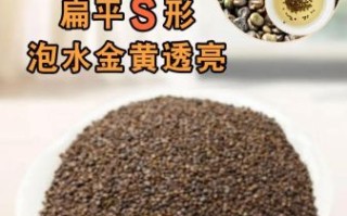 沙苑子长什么样_沙苑子真假辨别方法