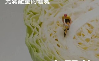 高丽菜功效_高丽菜怎么吃最营养