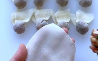 混沌怎么包_混沌包法图解