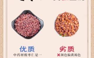 酸枣仁图片大全_如何辨别真假酸枣仁