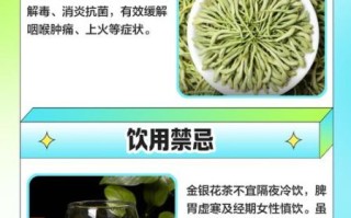 金银花茶怎么泡_金银花茶制作方法