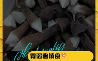 鸡枞菌哪些人不能吃_鸡枞菌禁忌人群