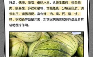 籽瓜怎么吃_籽瓜的吃法有哪些