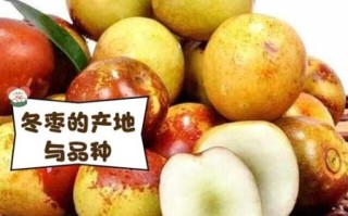 冬枣的功效与作用有哪些_冬枣营养价值高吗