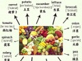 what_are_the_english_names_of_common_vegetables