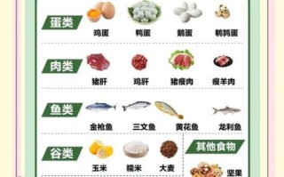 补维生素d的食物有哪些_吃什么能快速补维D