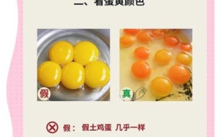 假鸡蛋怎么辨别_假鸡蛋的识别方法