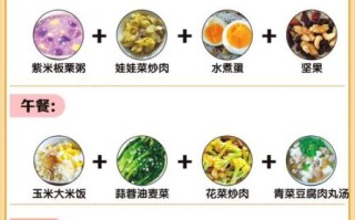 营养餐食谱一周搭配_如何科学安排三餐