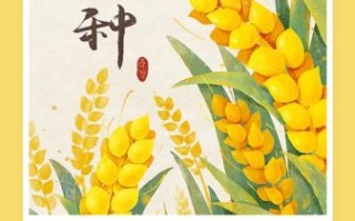 芒种是几月几号_芒种节气吃什么