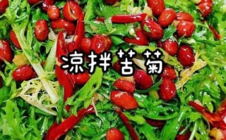 苦菊菜怎么做好吃_苦菊菜凉拌做法