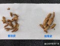 香加皮图片长什么样_香加皮真假如何辨别
