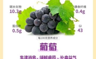 葡萄的功效与作用是什么_吃葡萄有哪些好处