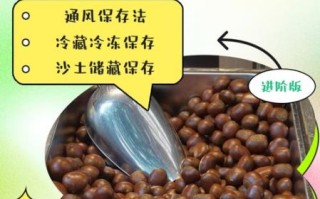生板栗怎么保存一年_生板栗长期保存方法