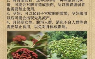 吴茱萸的功效与作用_吴茱萸能治疗哪些疾病