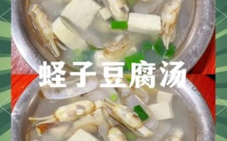 蛏子汤怎么做好吃_蛏子汤的做法大全