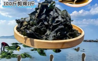 海带头怎么做好吃_海带头炖多久才软