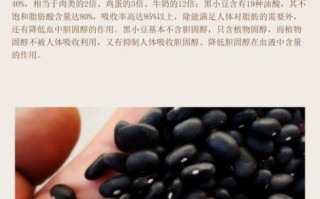 黑豆云怎么样_黑豆云好用吗