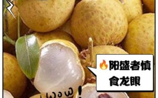 新鲜龙眼上火还是降火_龙眼吃多了会上火吗