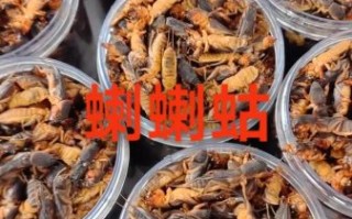 蝼蛄吃什么_蝼蛄食物清单