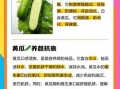 黄瓜能减肥吗_黄瓜对皮肤有什么好处