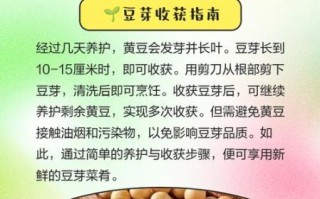 黄豆芽怎么生_黄豆芽发芽温度多少