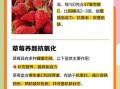 孕妇能吃草莓吗_孕妇吃草莓的好处和禁忌