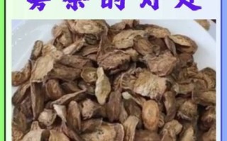 牛蒡茶可以天天喝吗_牛蒡茶的功效与作用